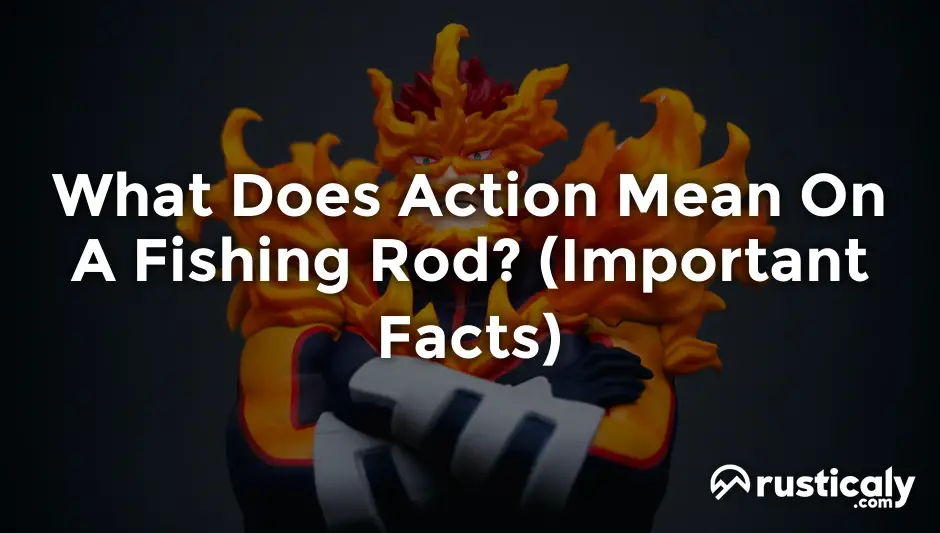 What Does Action Mean On A Fishing Rod Finally Understand What Does Action Mean On A Fishing Rod Finally Understand