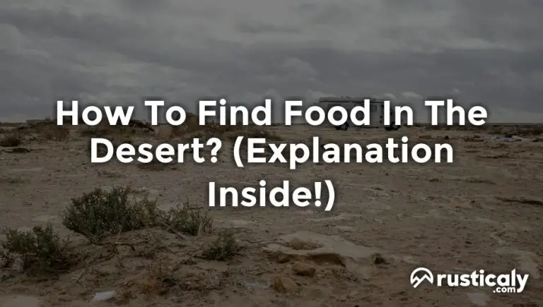 How To Find Food In The Desert? The Best Explanation
