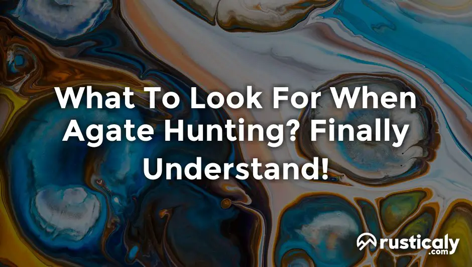 What To Look For When Agate Hunting? Complete Explanation