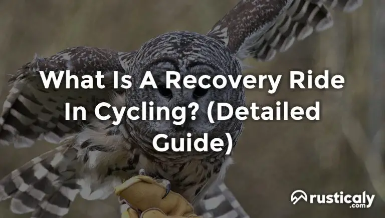 What Is A Recovery Ride In Cycling? Complete Explanation