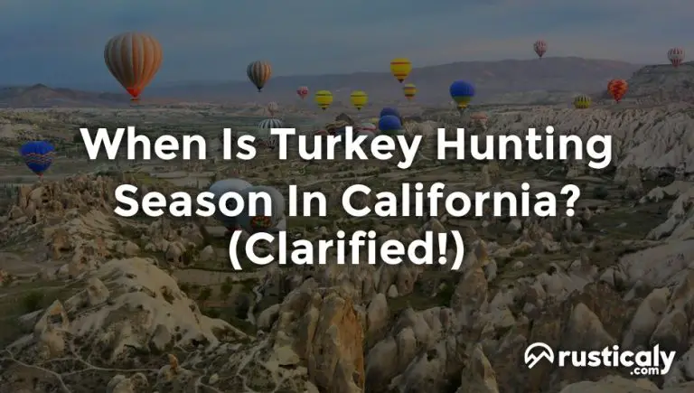 When Is Turkey Hunting Season In California? (Clarified!)