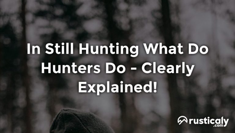 In Still Hunting What Do Hunters Do | Clearly Explained!