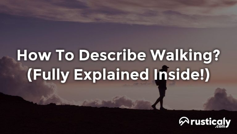 How To Describe Walking With The Clearest Explanation how-to-describe-walking-with-the-clearest-explanation