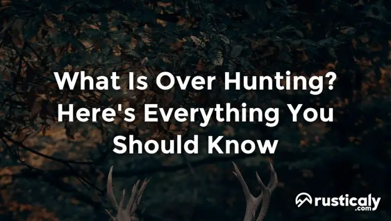 What Is Over Hunting? With The Clearest Explanation