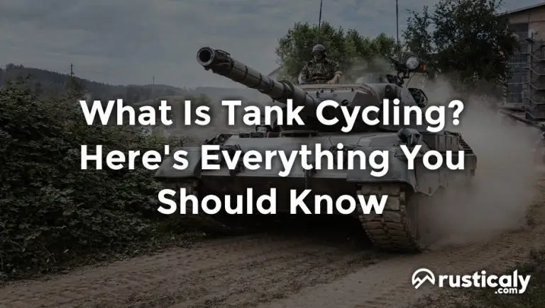 What Is Tank Cycling? You Should Absolutely Know This!