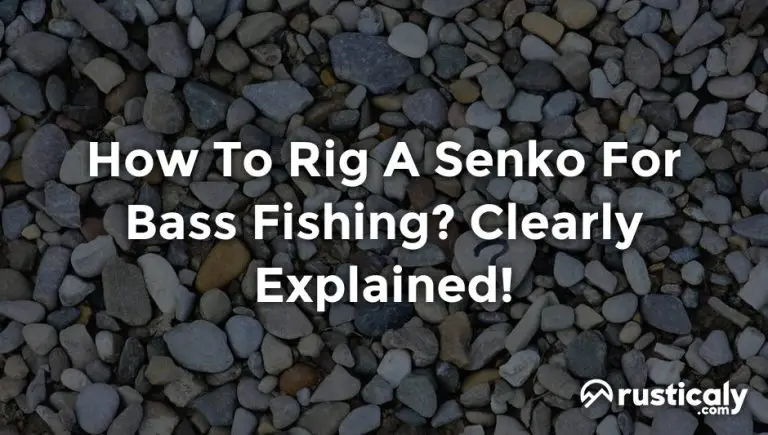 How To Rig A Senko For Bass Fishing? Finally Understand!