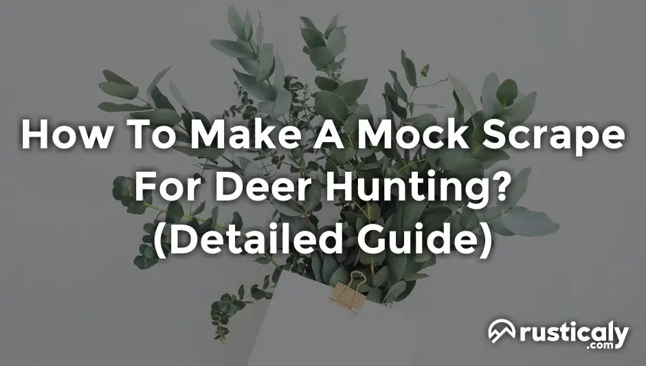 How To Make A Mock Scrape For Deer Hunting? Clearly Explained!