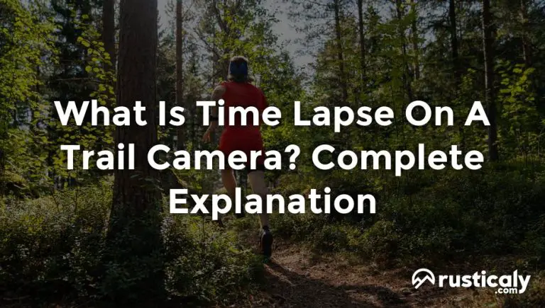 What Is Time Lapse On A Trail Camera? (Answer Inside!)