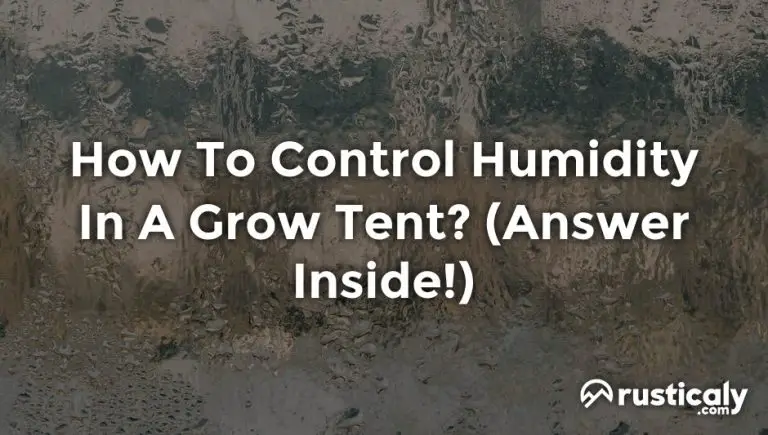 How To Control Humidity In A Grow Tent? (Detailed Guide)