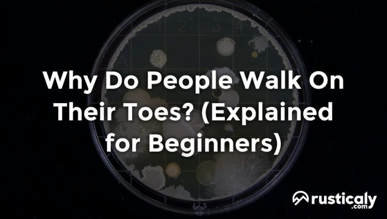Why Do People Walk On Their Toes? The Best Explanation