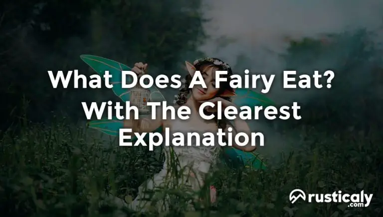 What Does A Fairy Eat? Here's What You Should Know About It