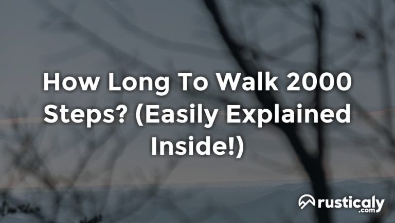 How Long To Walk 2000 Steps? The Ultimate Explanation