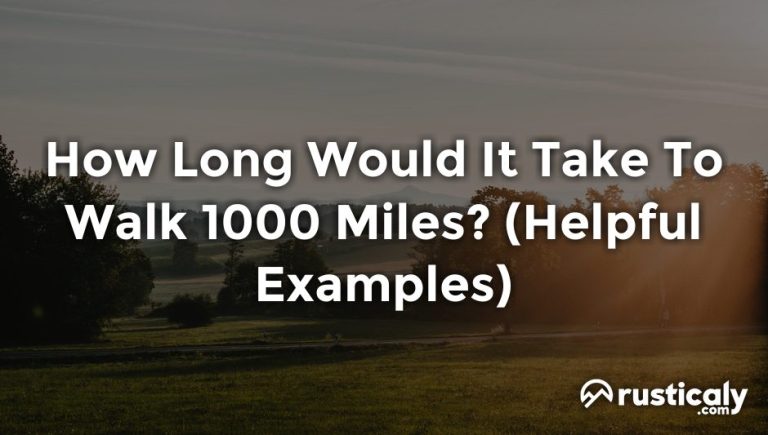 How Long Would It Take To Walk 1000 Miles? (Complete Answer)