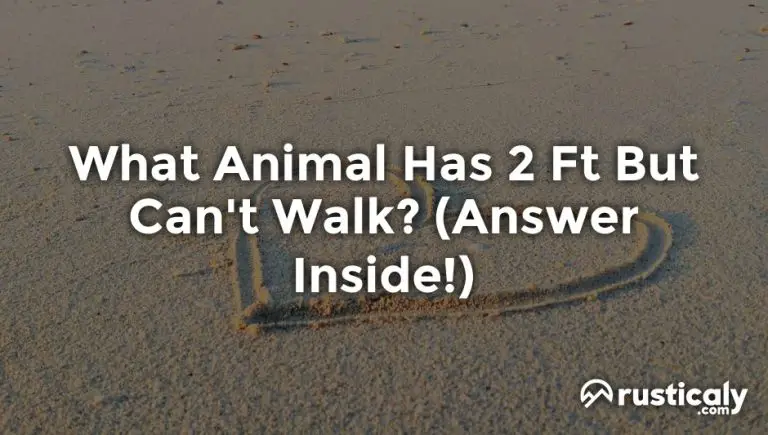 What Animal Has 2 Ft But Can't Walk? (Important Facts)