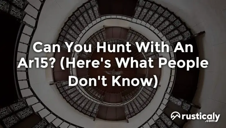 Can You Hunt With An Ar15? The Ultimate Explanation