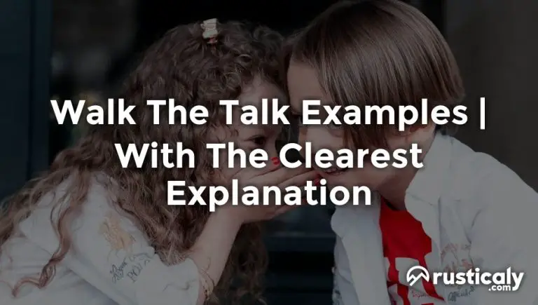 Walk The Talk Examples > With The Clearest Explanation
