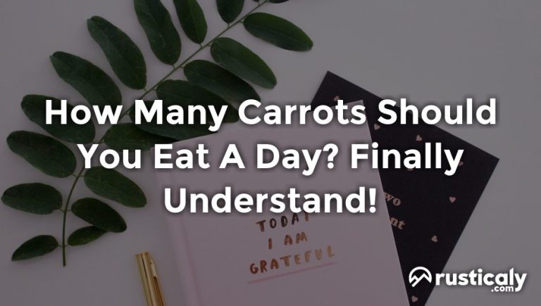How Many Carrots Should You Eat A Day? (Important Facts)