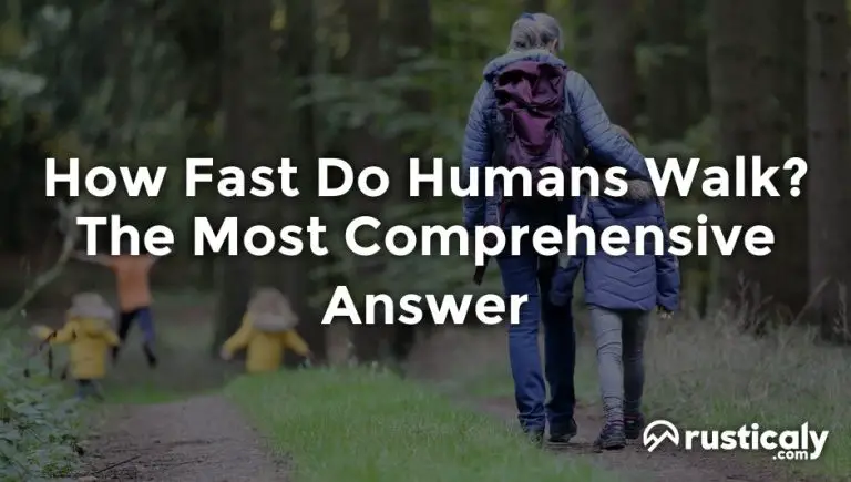How Fast Do Humans Walk? You Should Absolutely Know This!