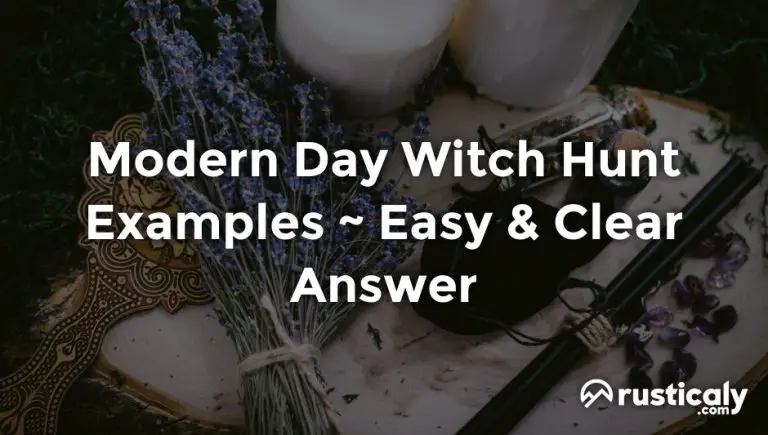 Modern Day Witch Hunt Examples > Explained for Beginners
