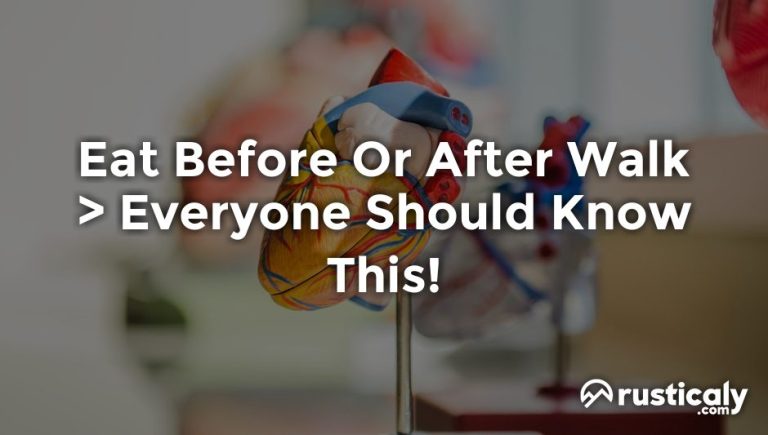 Eat Before Or After Walk — Everyone Should Know This!
