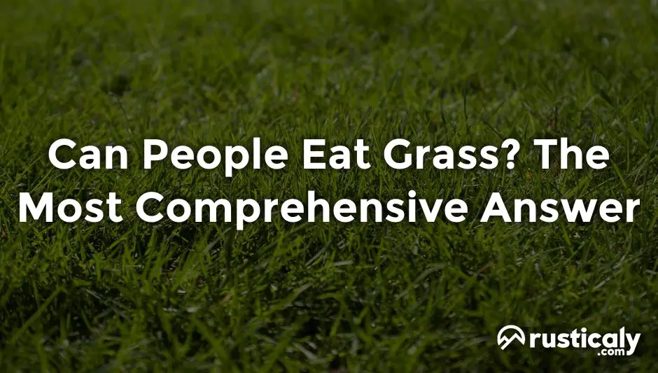 Can People Eat Grass Everything You Need To Know