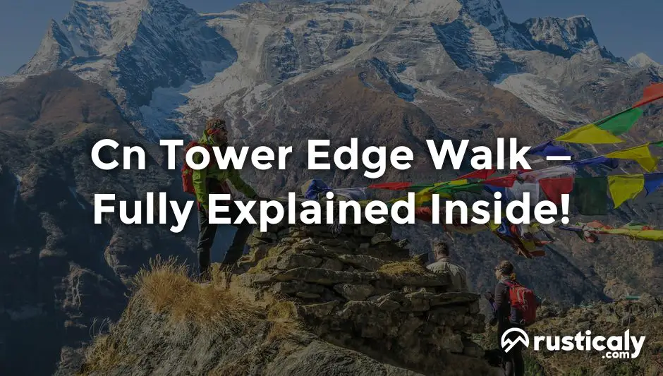 Cn Tower Edge Walk | Everything You Need To Know
