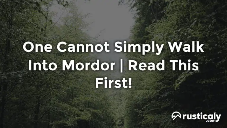 One Cannot Simply Walk Into Mordor — Easy & Clear Answer