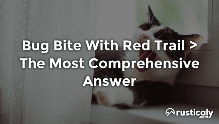 Bug Bite With Red Trail - Everyone Should Know This!