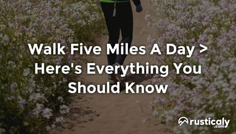 Walk Five Miles A Day - Here's What You Should Know About It