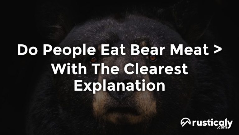 Do People Eat Bear Meat - Fully Explained Inside!