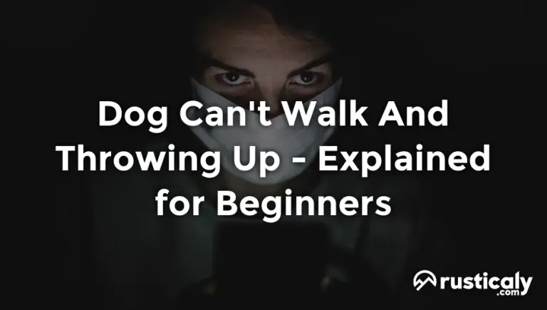 Dog Can't Walk And Throwing Up | Finally Explained!