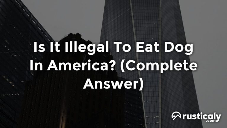 Is It Illegal To Eat Dog In America? (Helpful Examples)