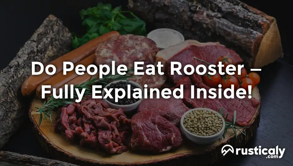Do People Eat Rooster ~ The Most Comprehensive Answer
