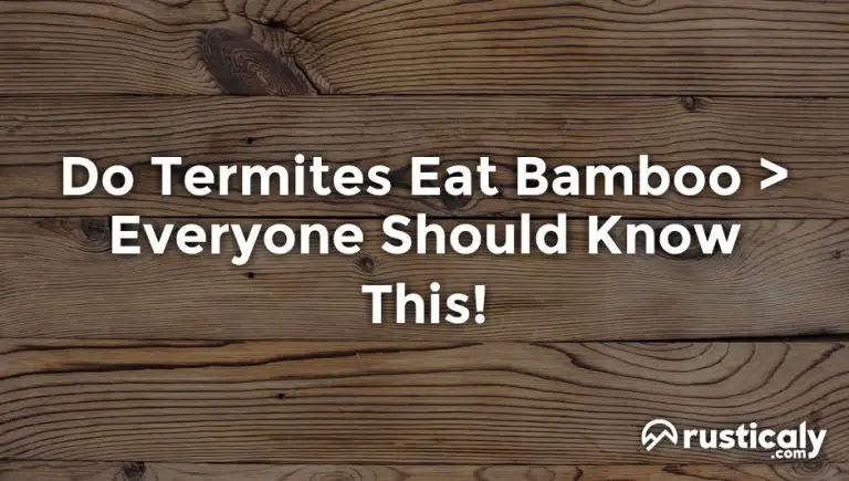 Do Termites Eat Bamboo - Here's Everything You Should Know