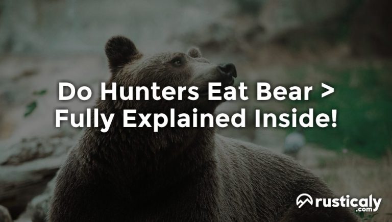 Do Hunters Eat Bear > With The Clearest Explanation