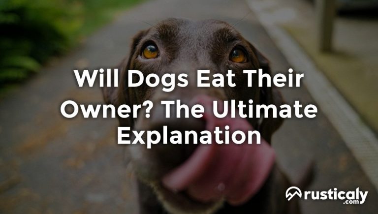 Will Dogs Eat Their Owner? (Complete & Easy Answer)