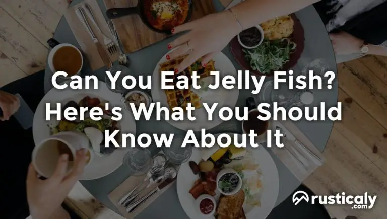 Can You Eat Jelly Fish? Here's Everything You Should Know