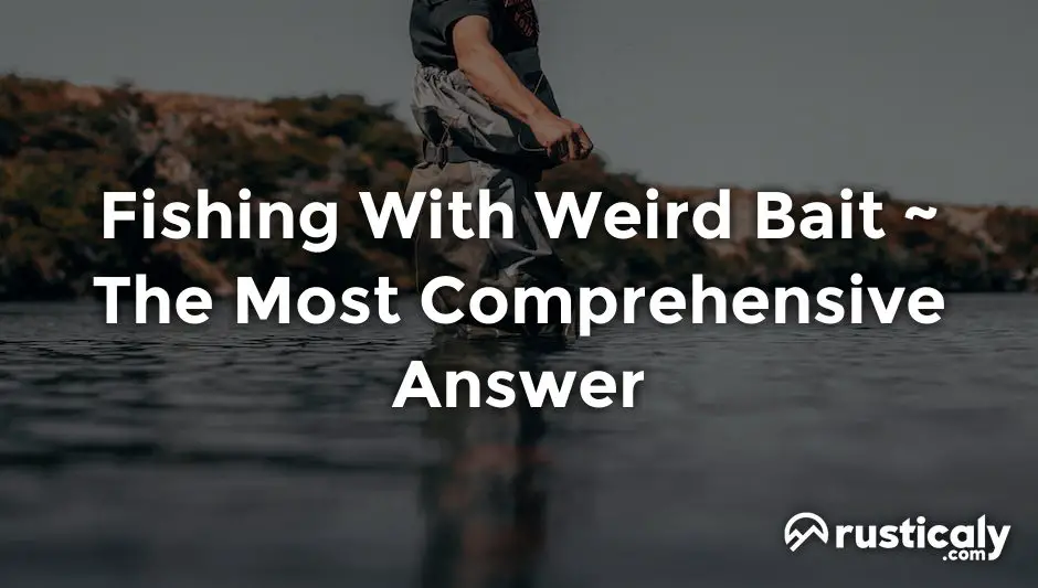 Fishing With Weird Bait ~ Everything You Need To Know