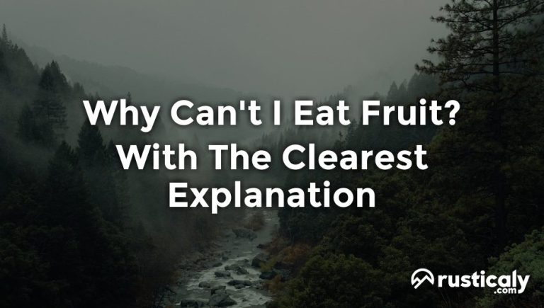 Why Can't I Eat Fruit? Everyone Should Know This!