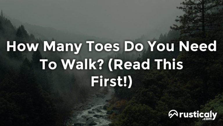 How Many Toes Do You Need To Walk? (Explained for Beginners)