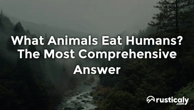 What Animals Eat Humans? The Most Comprehensive Answer
