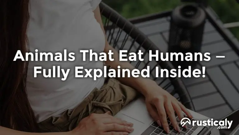 Animals That Eat Humans — You Should Absolutely Know This!