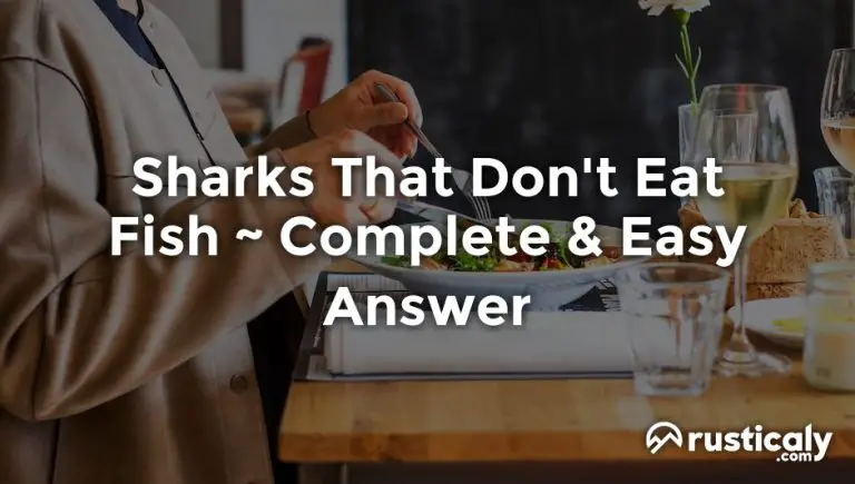 Sharks That Don't Eat Fish • Easily Explained Inside!