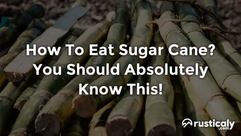 How To Eat Sugar Cane? Here's Everything You Should Know