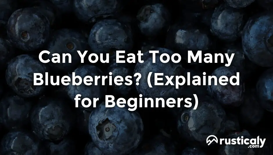 Can You Eat Too Many Blueberries? (Finally Explained!) Can You Eat Too Many Blueberries? (Finally Explained!)