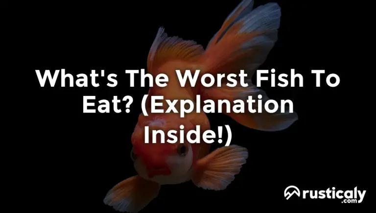 What's The Worst Fish To Eat? (Described for Everyone)