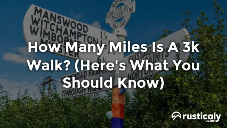 How Many Miles Is A 3k Walk? The Ultimate Explanation