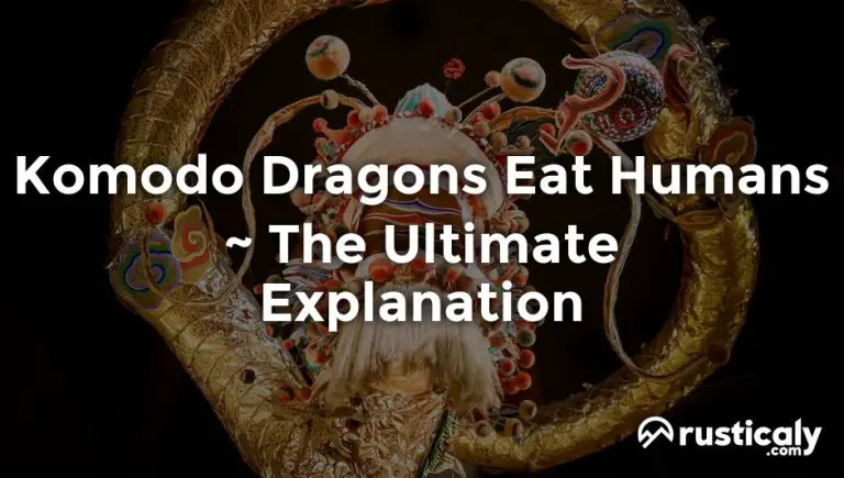Komodo Dragons Eat Humans • Here's What People Don't Know