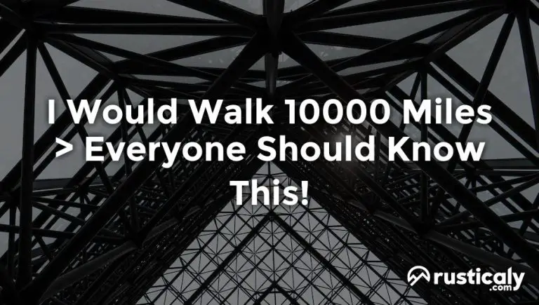 I Would Walk 10000 Miles - You Should Absolutely Know This!