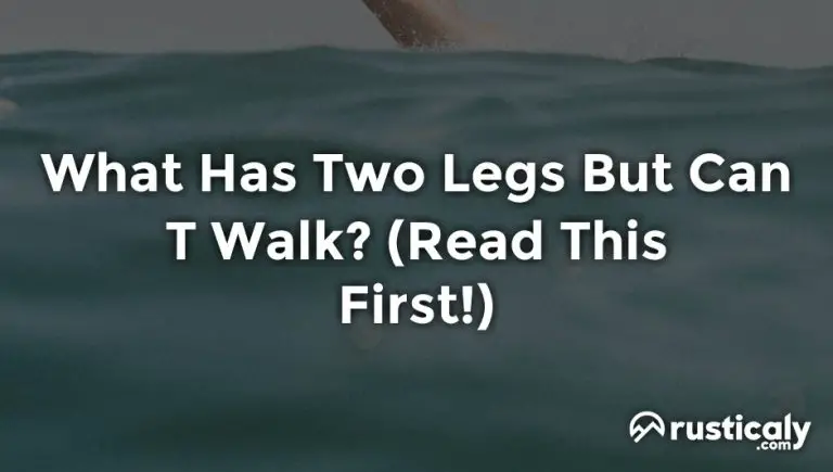 What Has Two Legs But Can T Walk? The Best Explanation